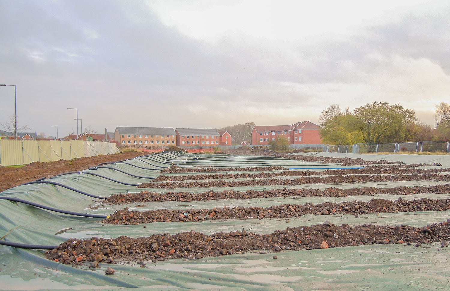 Bioremediation - Land Remediation Services | Ash Remediation Management