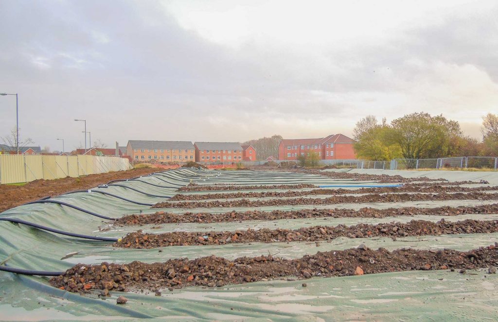 Bioremediation - Ash Remediation